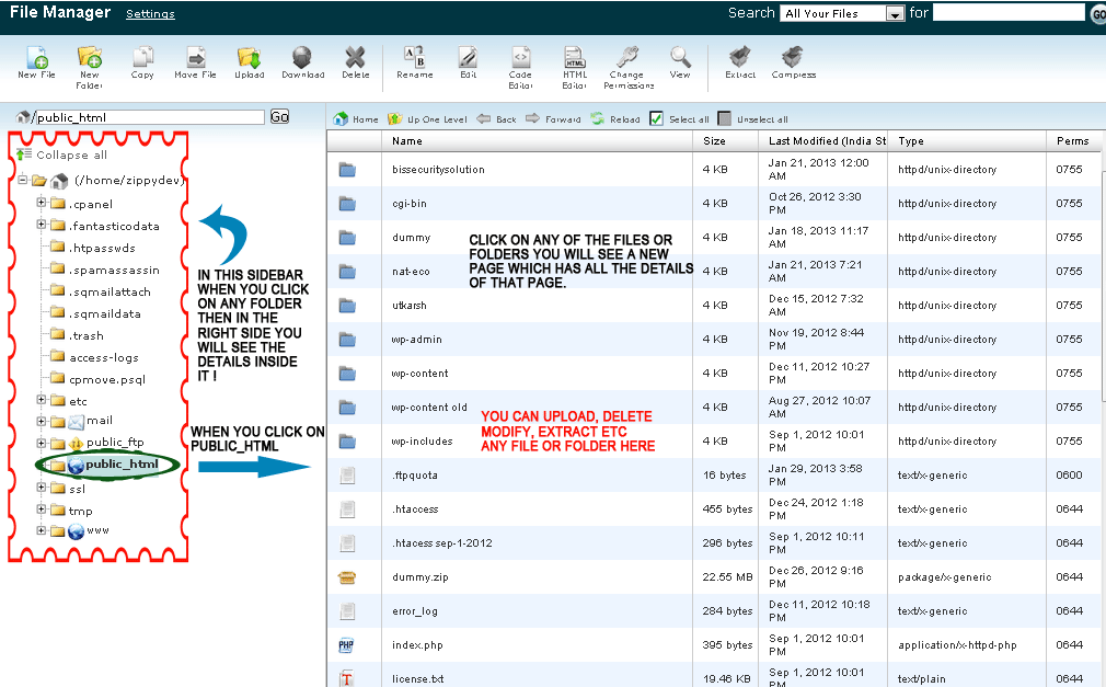 How To Use a cPanel – Ananova