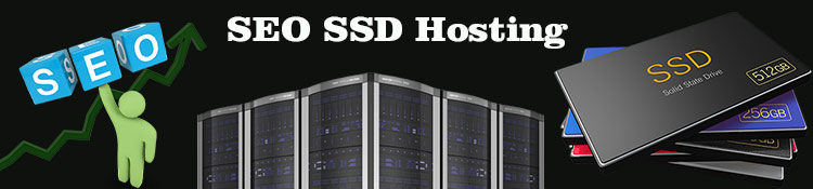 SEO Friendly Solid state drive SSD hosting