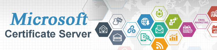Microsoft-Certificate-Server